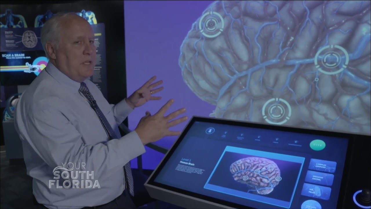 Your South Florida PBS: Brain Exhibit - YouTube