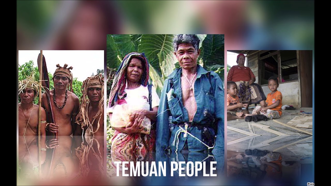 Temuan people - YouTube