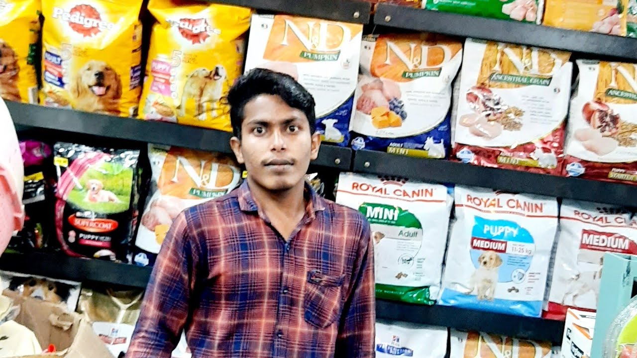 My dog sop Delhi - YouTube