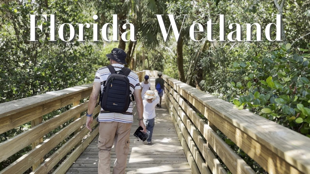 Relaxing Walk Through Beautiful Wetland | Florida Wildlife | Green Cay ...