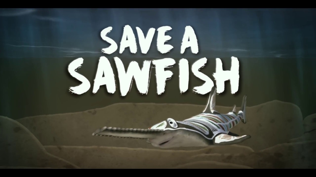 Save a Sawfish English Angelina Joshua - YouTube