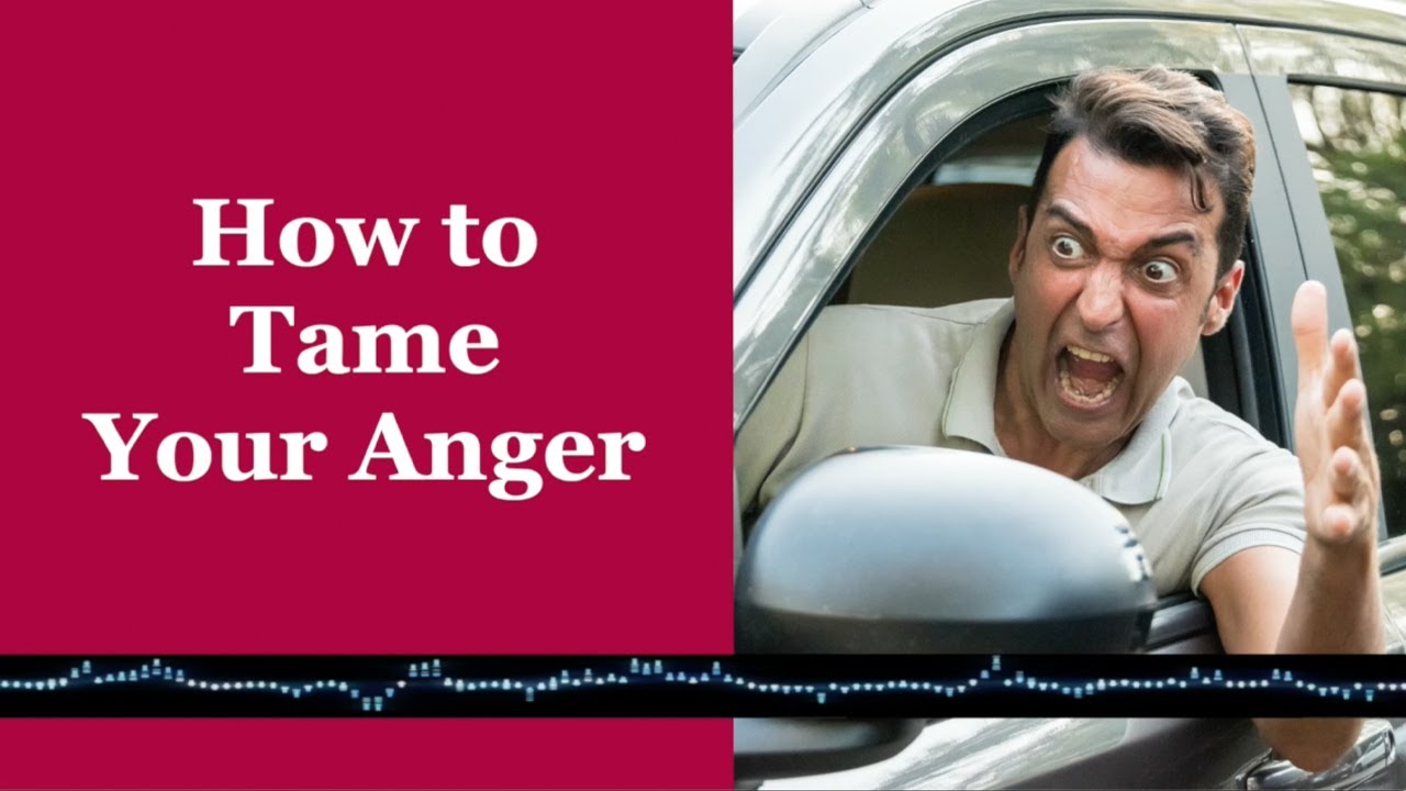 How to Tame Your Anger - YouTube
