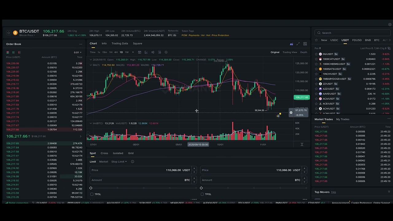 LIVE BTC/USDT CHART: Real-Time Bitcoin Price Tracker (Current Market ...