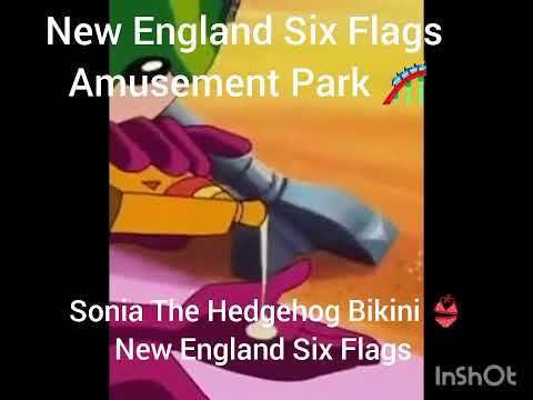 New England Six Flags Amusement Park 🎢 Sonia The Hedgehog Bikini 👙