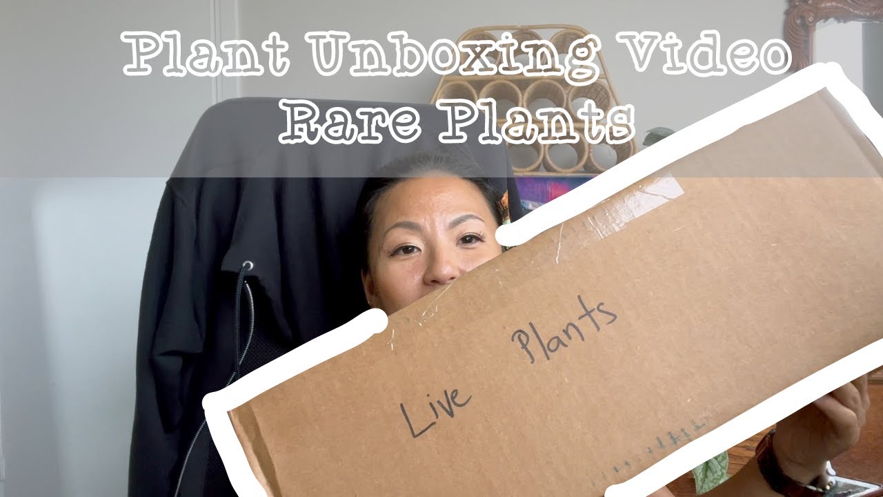 Plant Unboxing Video / 植物の開梱 - YouTube