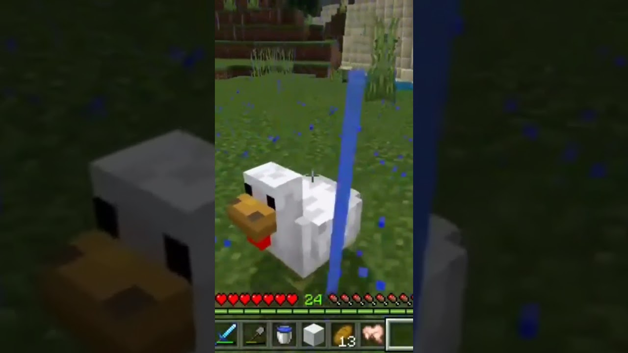 (마인크래프트)어미닭을 따라가는 아기닭 - YouTube