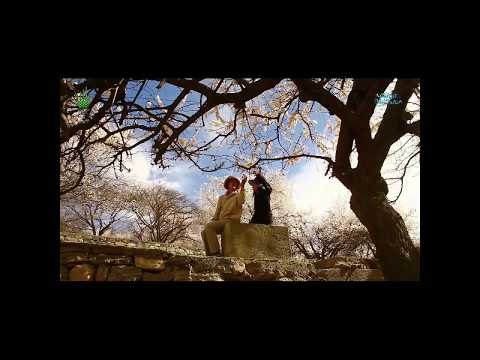 Nakam no bani ta Arzu / Mumtaz Ali Andaz Khowar Song 2017