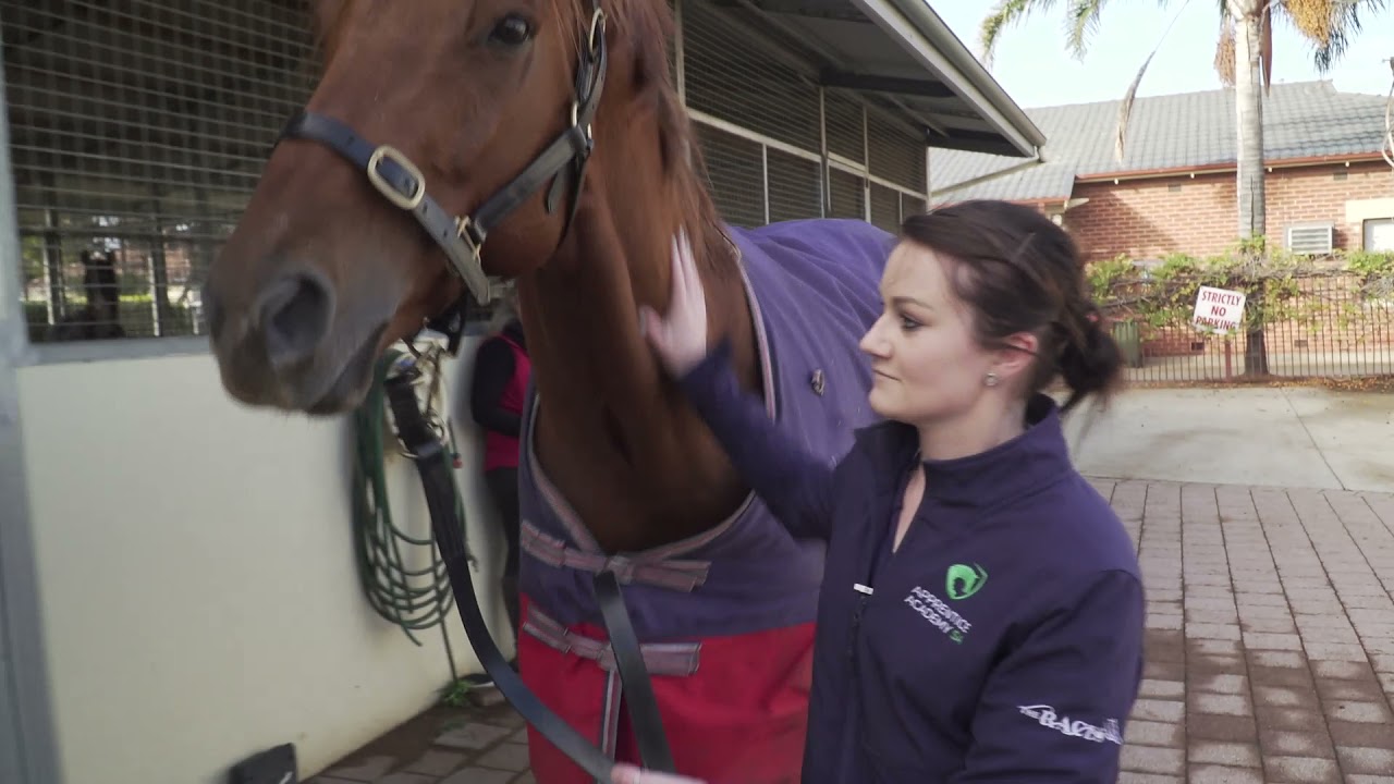 Teagan Voorham's road to recovery - YouTube