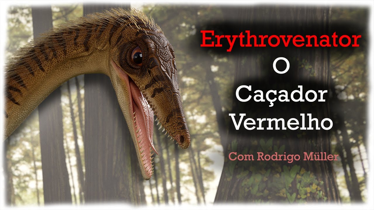 Erythrovenator - O Caçador Vermelho - YouTube