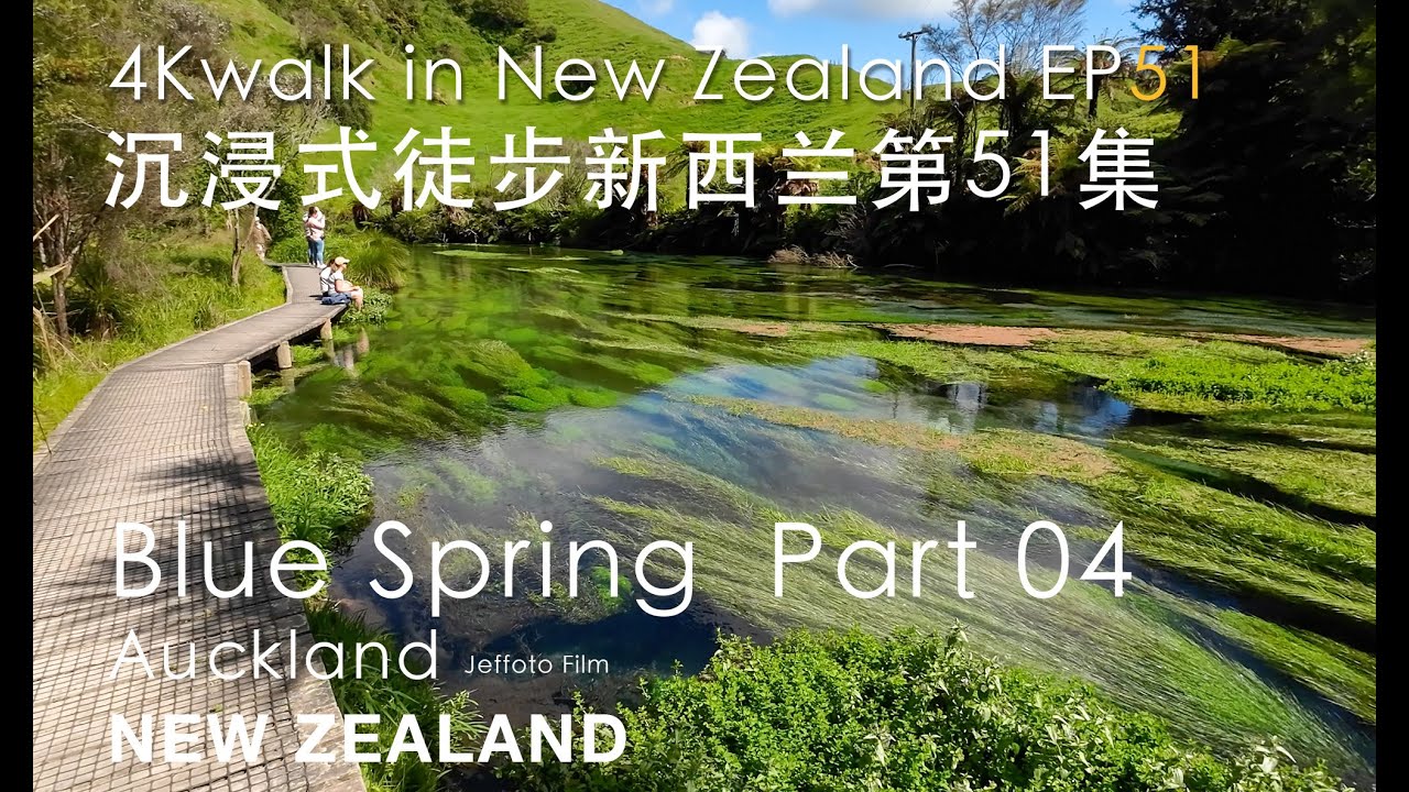 4K Walk in NZ EP51 part04 Walk in Blue spring 04- the Te Waihou Walkway ...