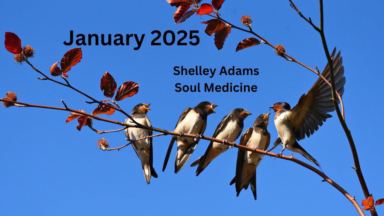Shelley Adams - Soul Medicine - January 2025 - YouTube