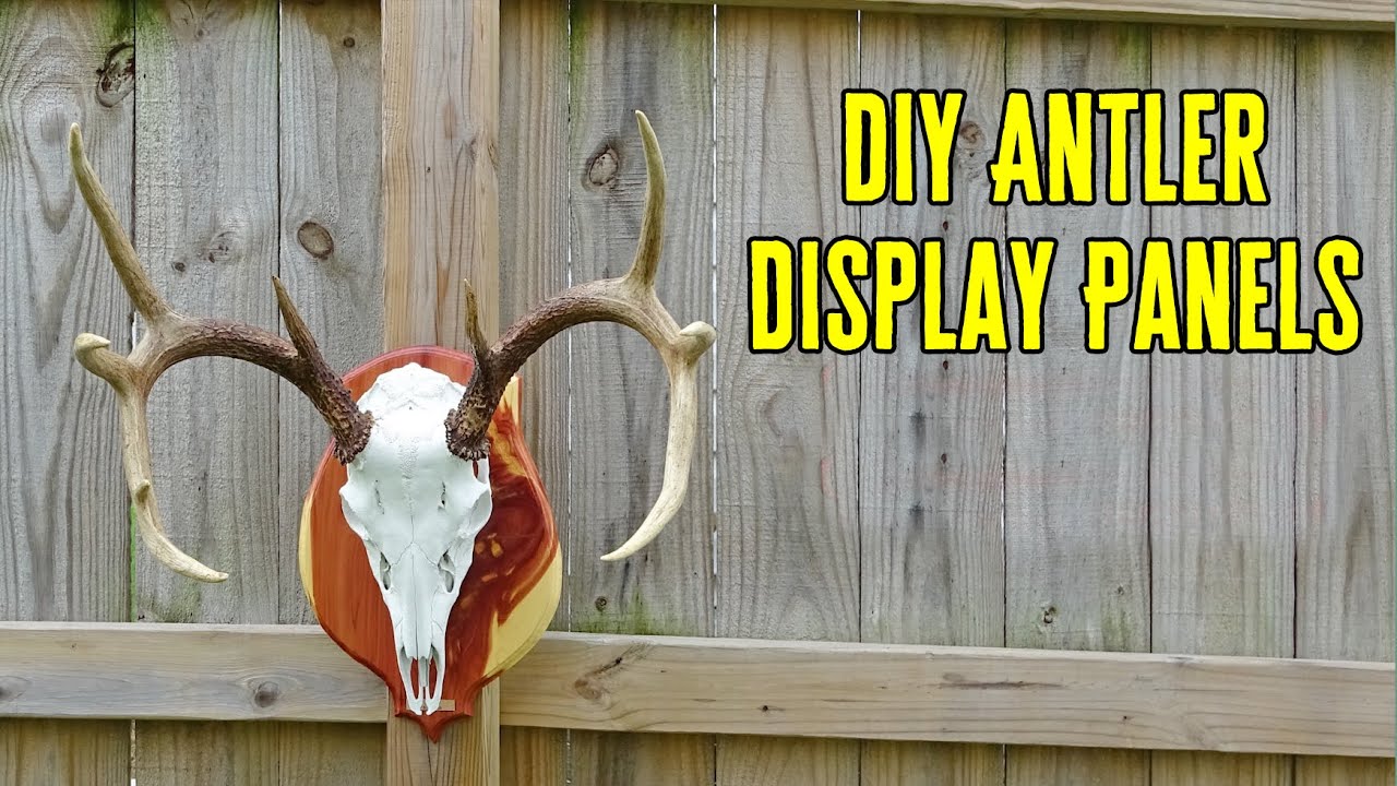 DIY European Mount Display Panel – Deer Skull Mount - YouTube