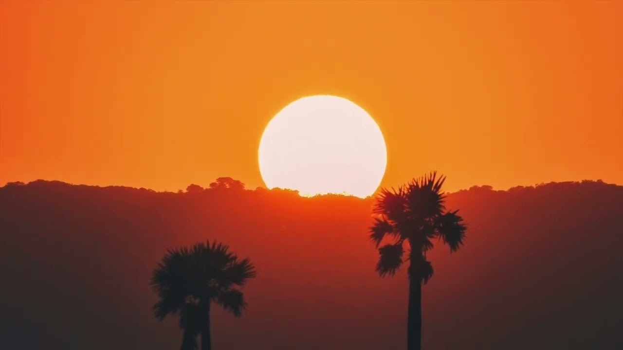 King of the Sun - Payhip