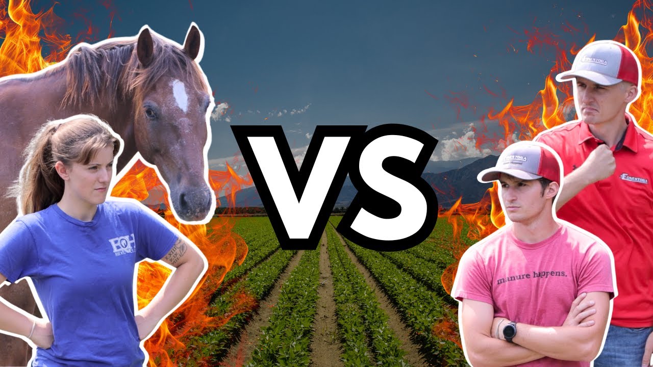 Farm Wars: Who Will Win? - YouTube