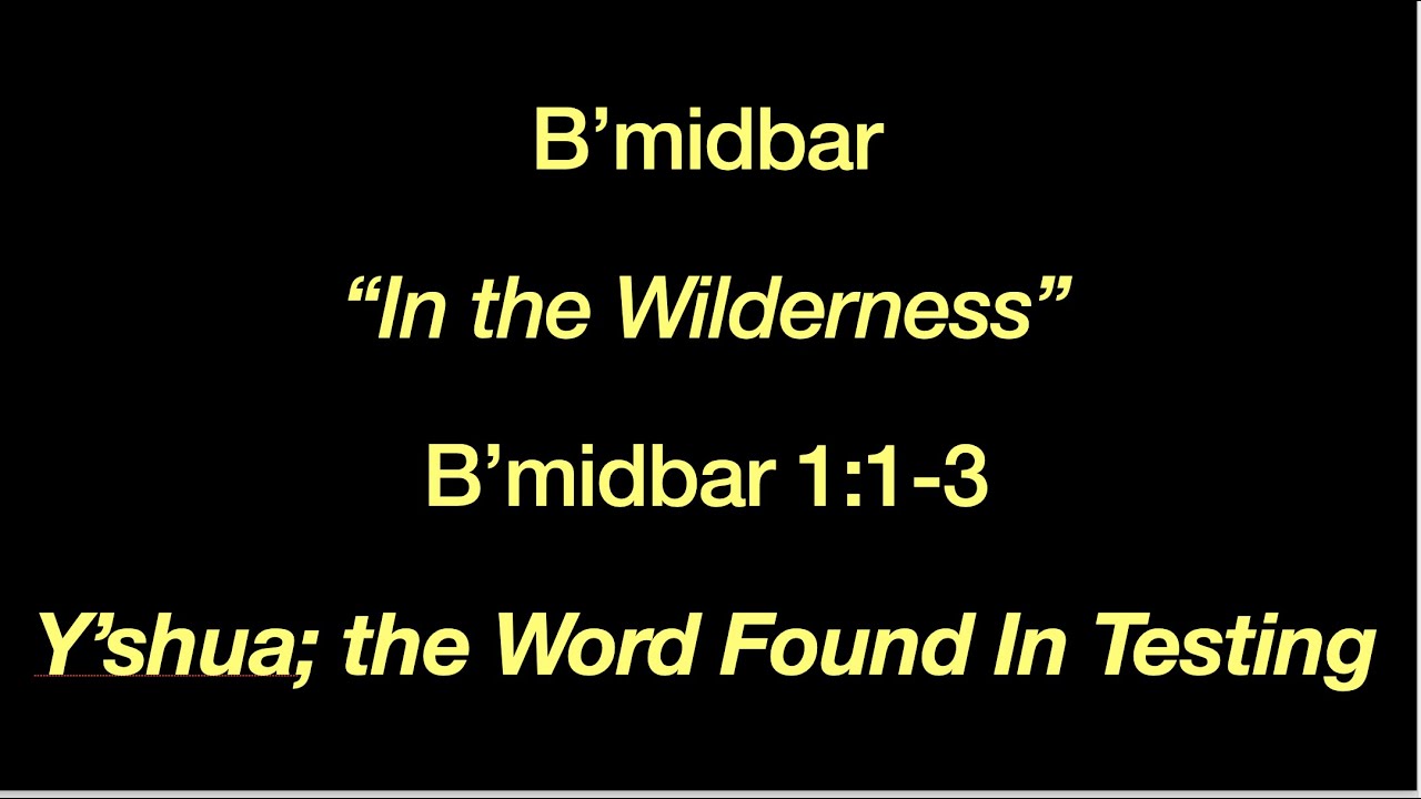 B'midbar "In the Wilderness" - YouTube