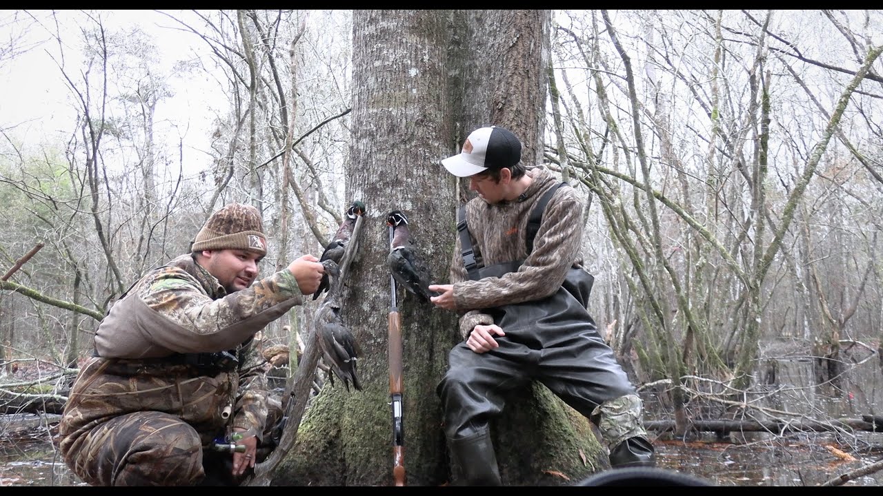 Georgia Duck Hunting Public Land - HolloVision Hunts 2022 Ep. 2 "Wood ...