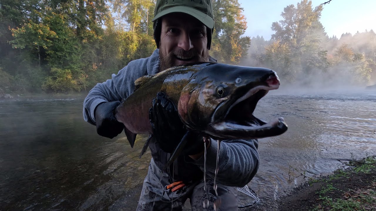 Oregon Santiam River Coho Salmon + 2 Surprise Alien Fish - YouTube