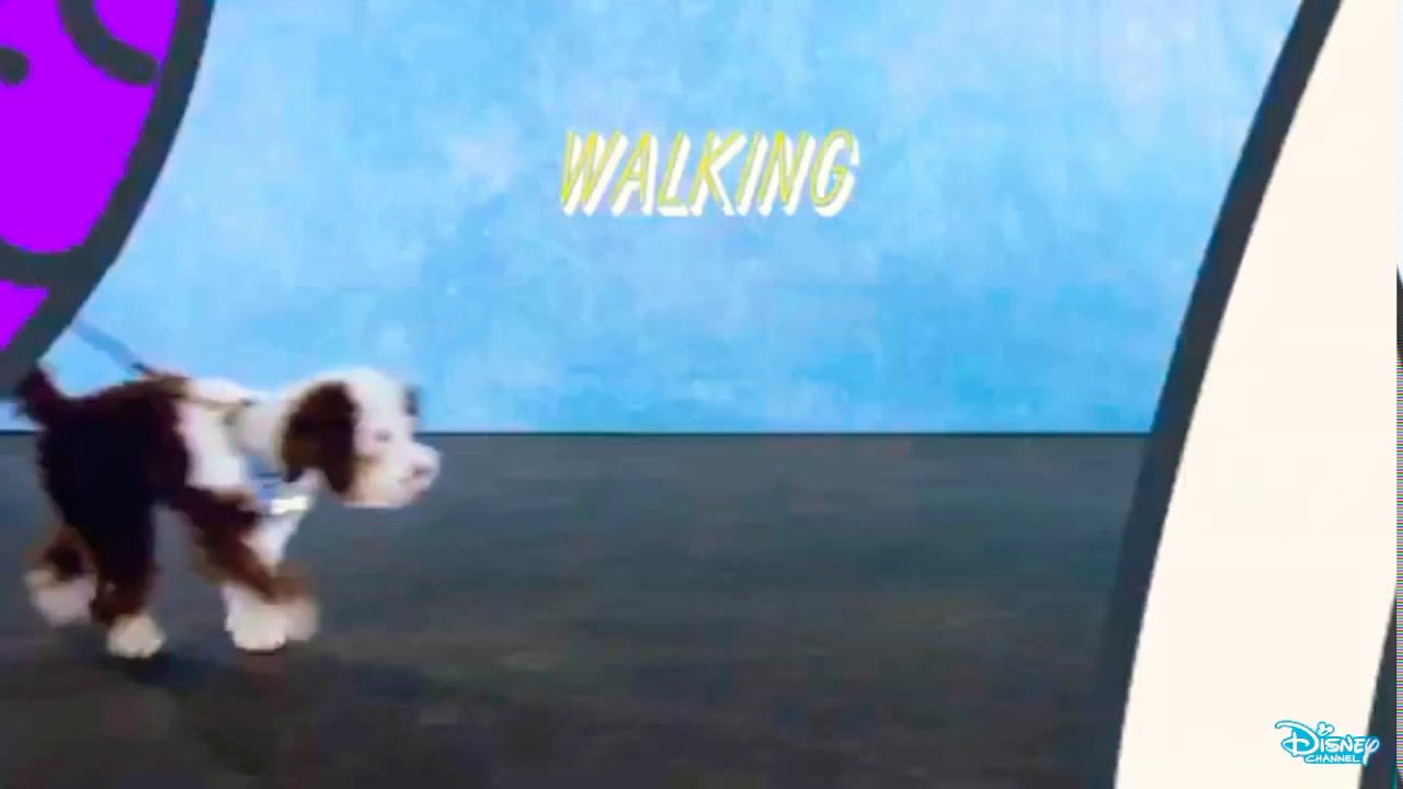 Pup academy| with whiz! - YouTube