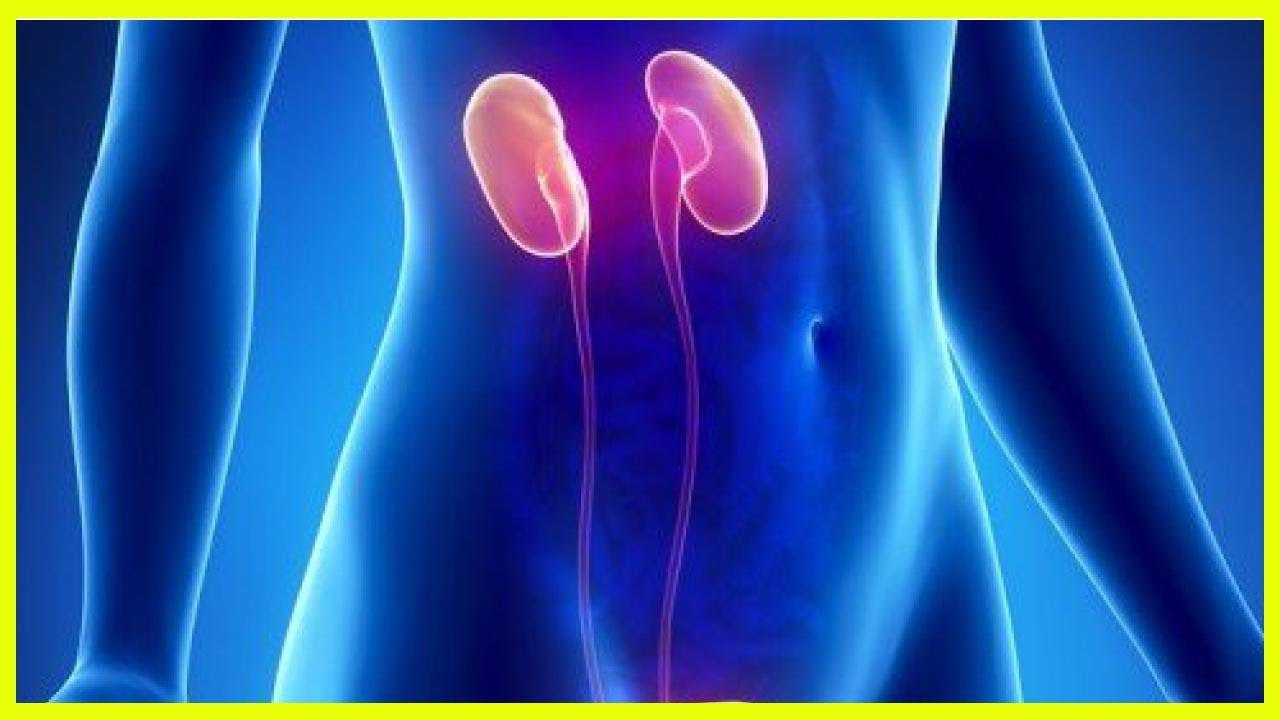 Les 10 symptômes de l’insuffisance rénale - YouTube