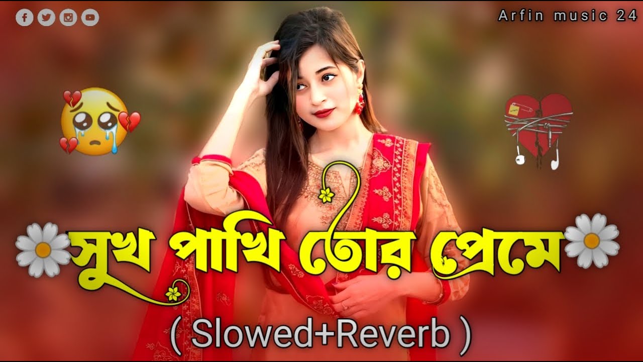 সুখ পাখি তোর প্রেমে মন মজাইয়া আমি | Shukh Pakhi Tor Preme ( Slowed+Reverb ) Fa Sumon Arfin ...