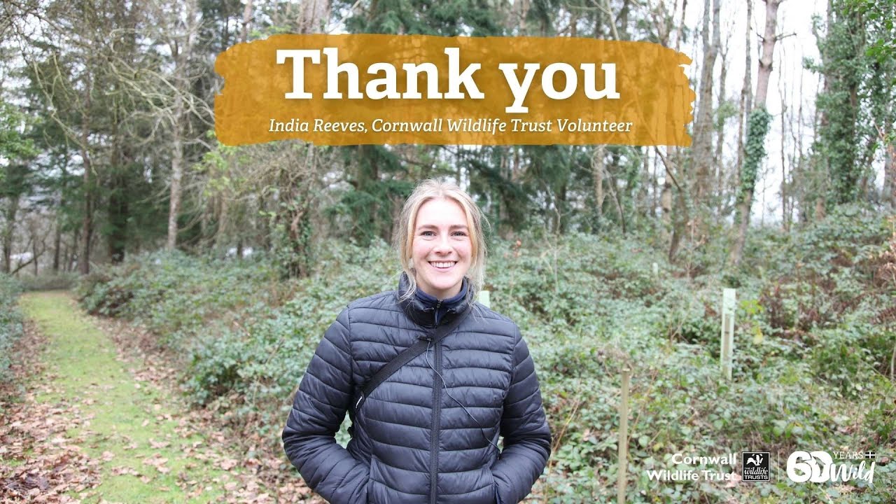 Thank you to India Reeves, Cornwall Wildlife Trust Volunteer - YouTube