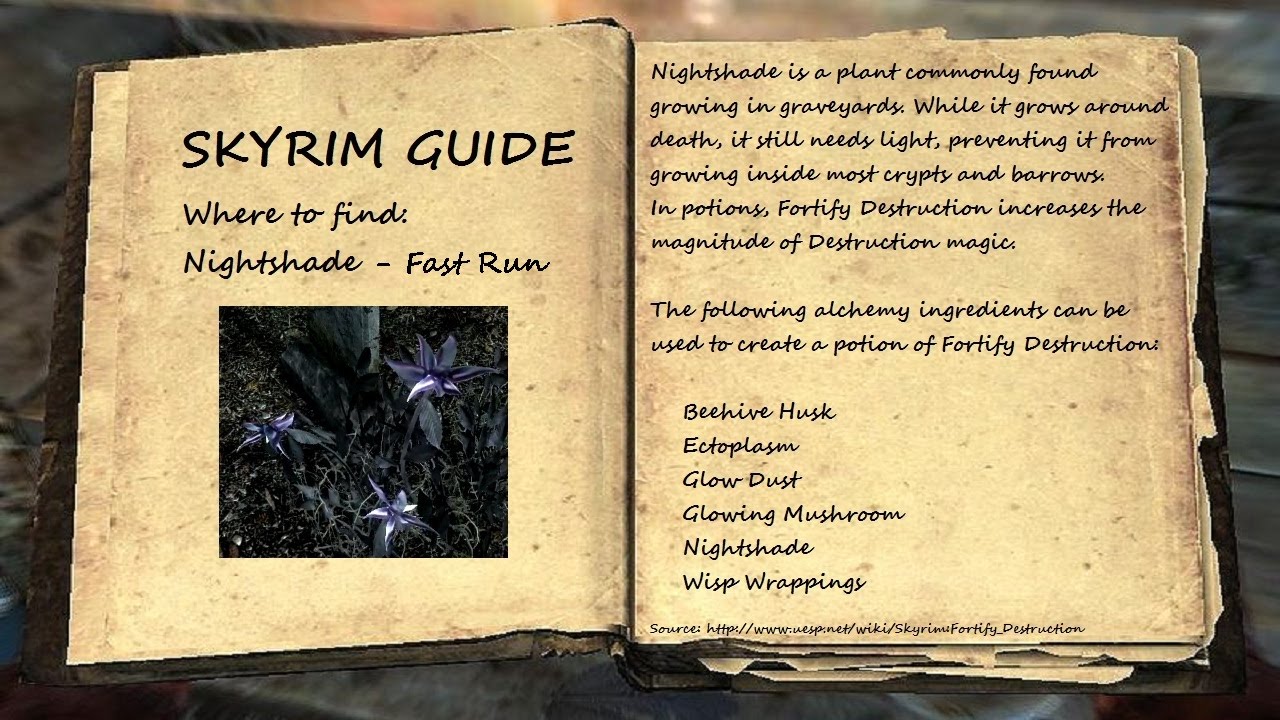 Skyrim guide