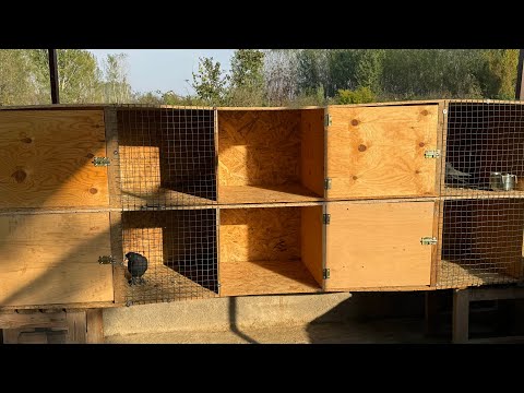 GÜVERCİN EŞHANELERİ YAPTIM ARAP OYUN KUŞU SAHİPLENDİRME