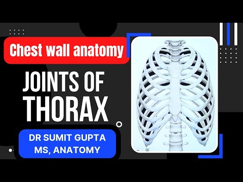 JOINTS OF THORAX : ANATOMY - YouTube