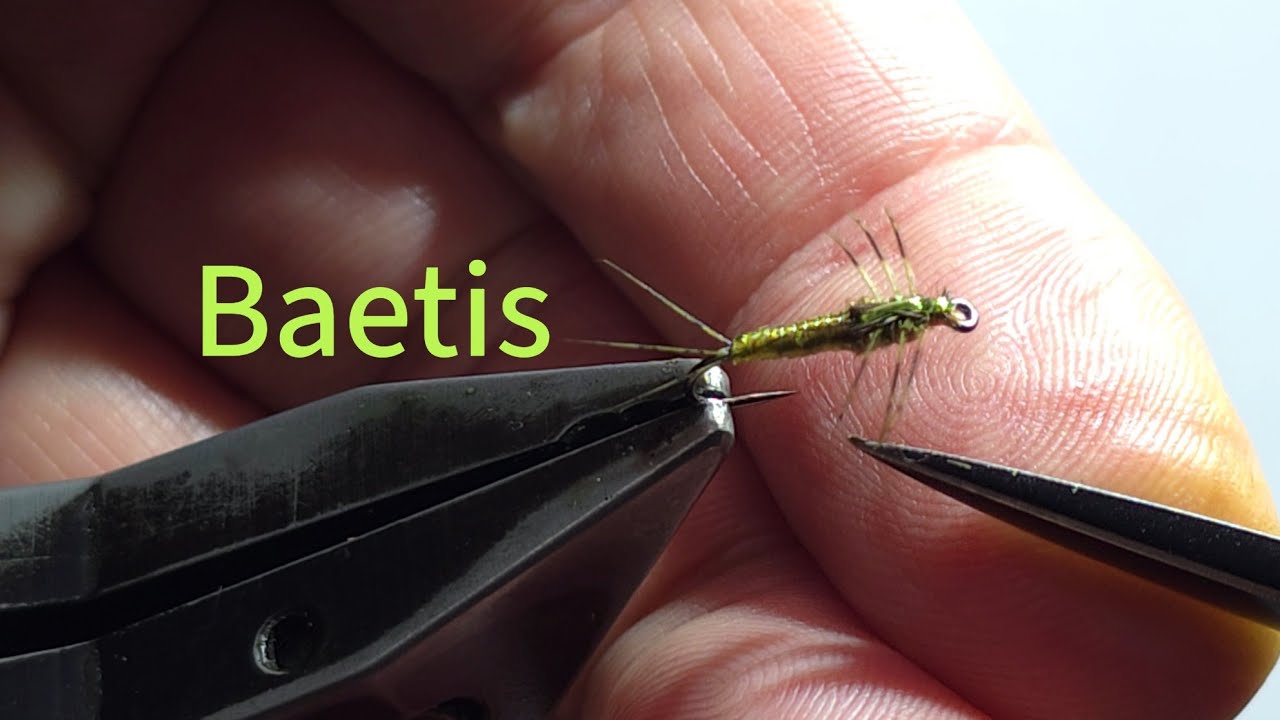 Master Fly Tying With This Simple Lead Foil Technique! Tying the Edwards Baetis Nymph - YouTube