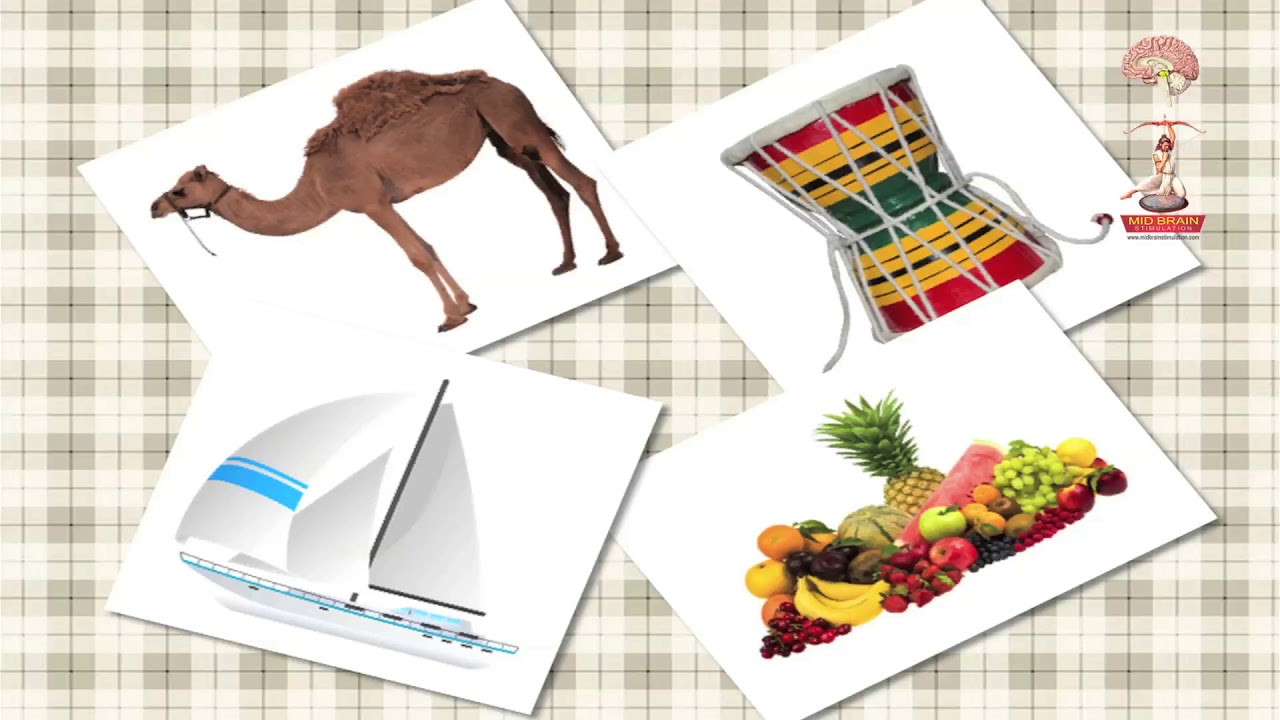 Midbrain Stimulation Program for 8yrs to 18 yrs - YouTube