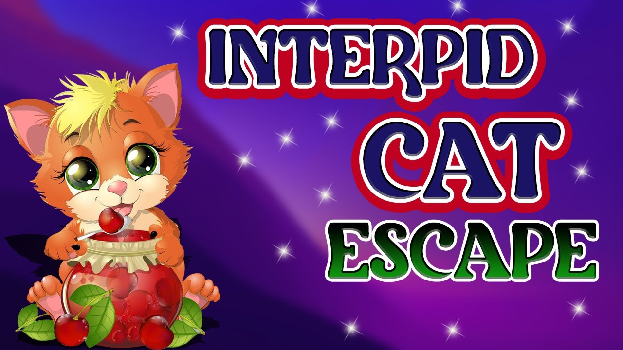 G4K Intrepid Cat Escape Game Walkthrough - YouTube