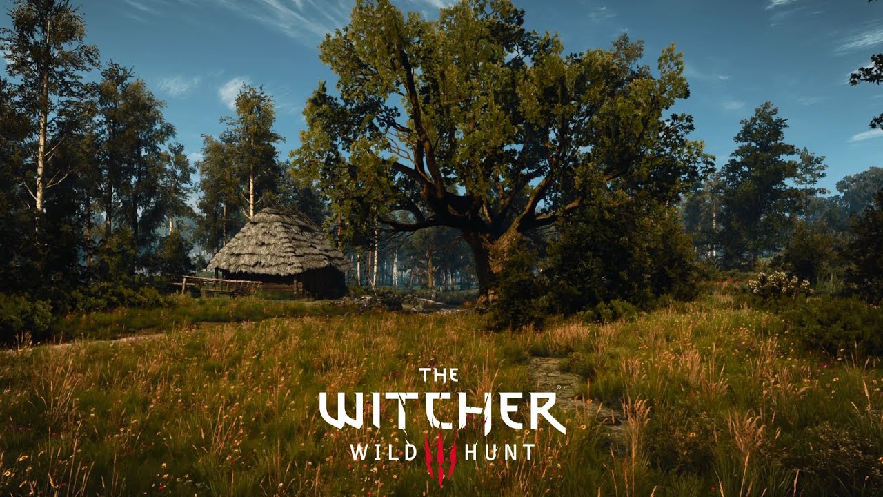 Cabin in the Woods - The Witcher 3 | Wind Sounds, Gusts, Rustling ...