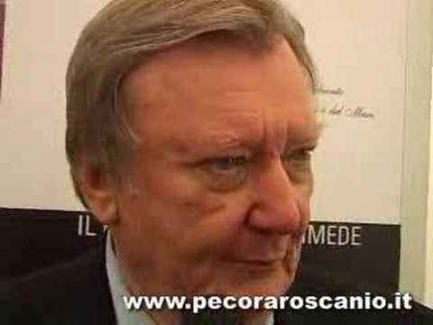 Rubbia ed il progetto Archimede