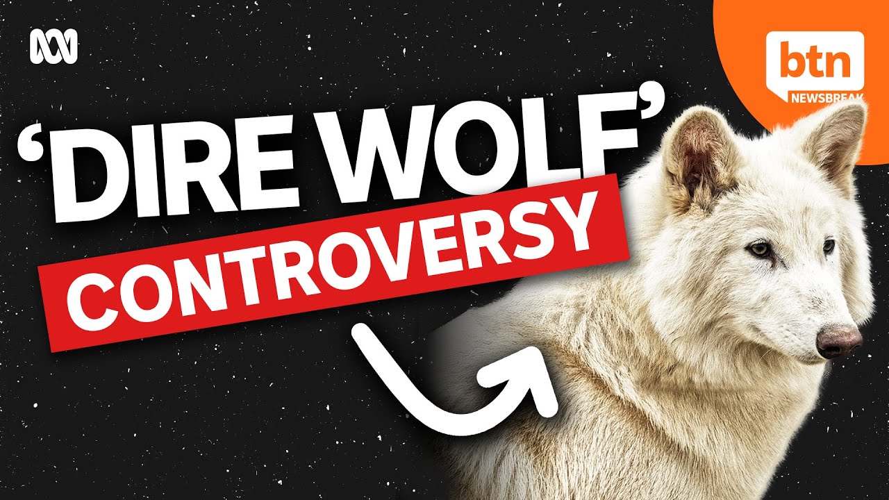The Problem With These ‘Dire Wolves’ - YouTube