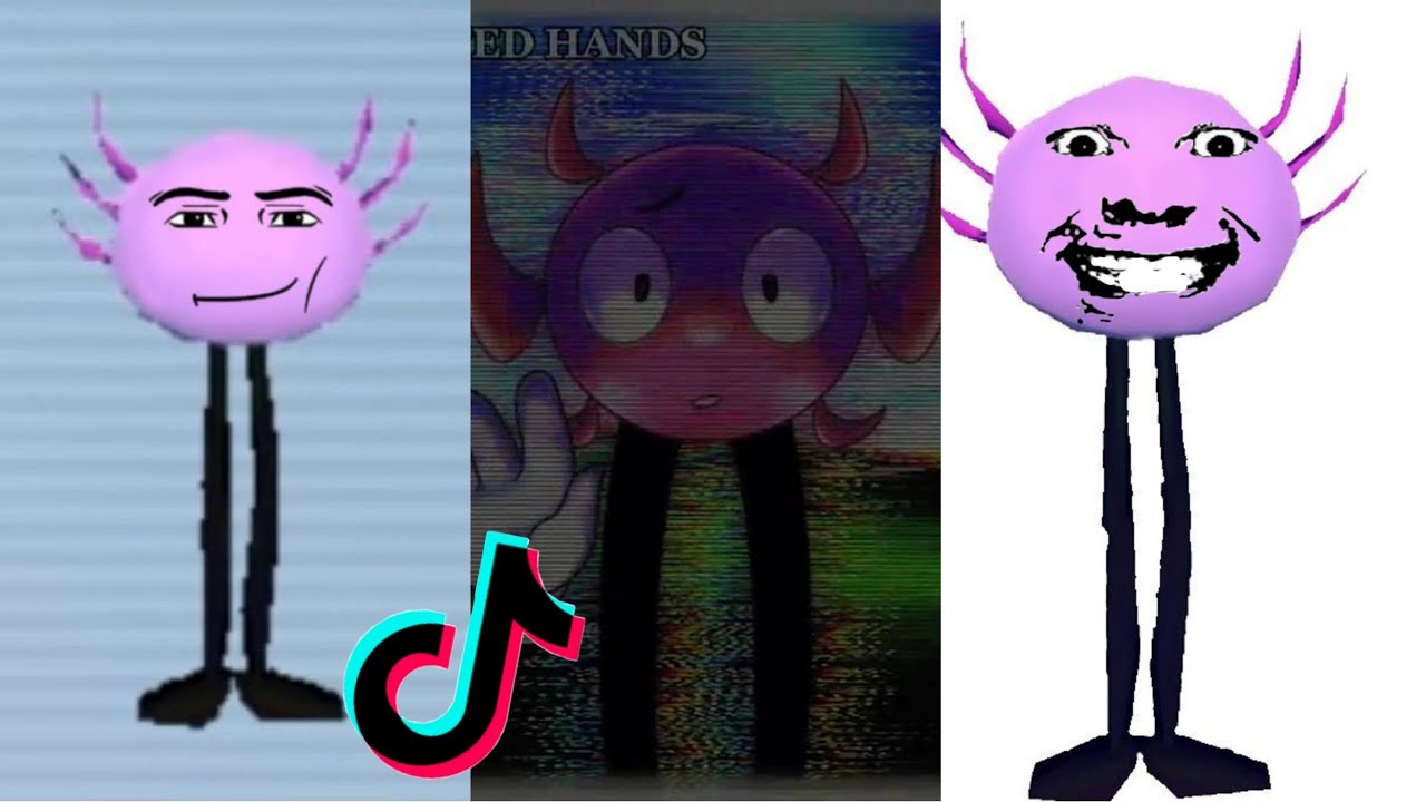 Kinito Pet Tik Tok Compilation Part 11 - YouTube