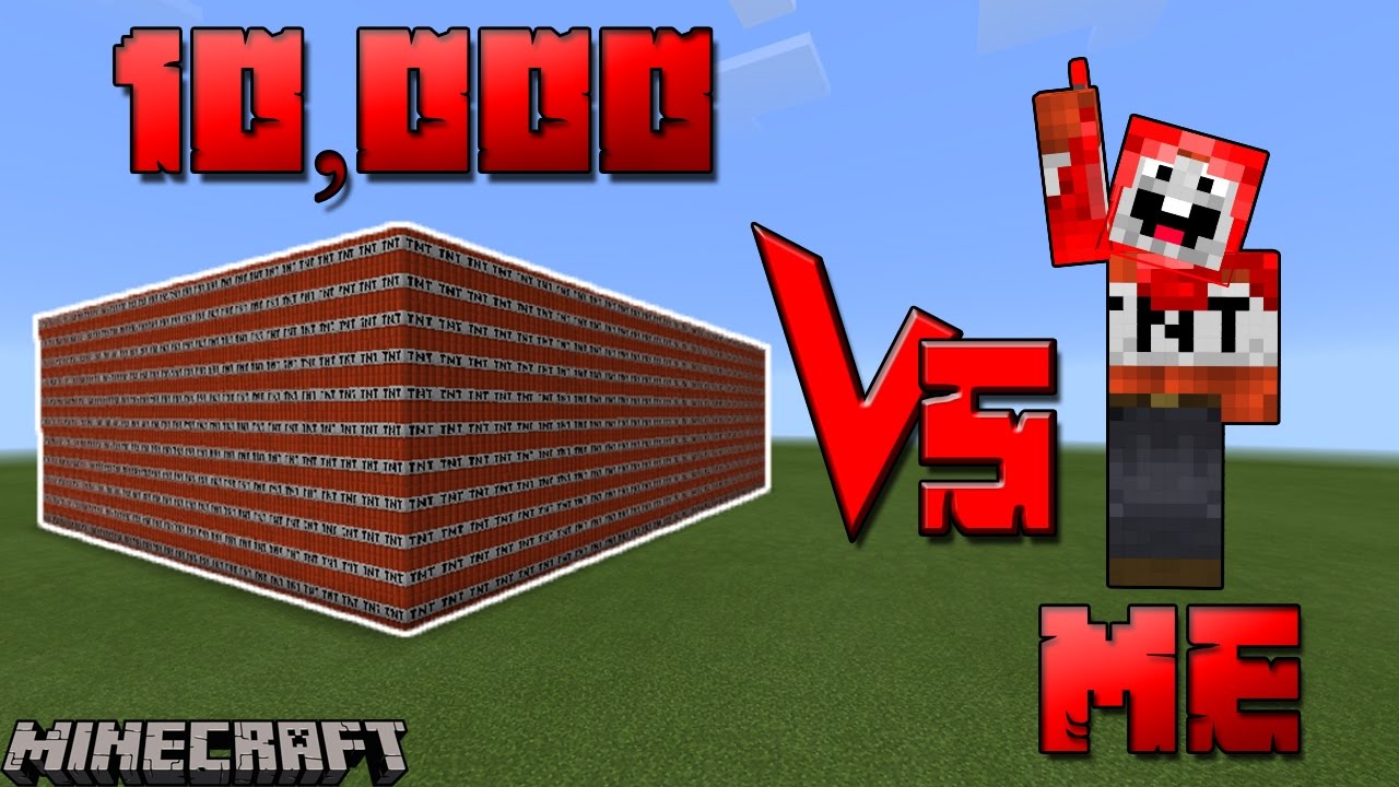 10,000 TNT Vs ME ( The TNT Guy) || SEE WHO WON? || Minecraft TNT ...