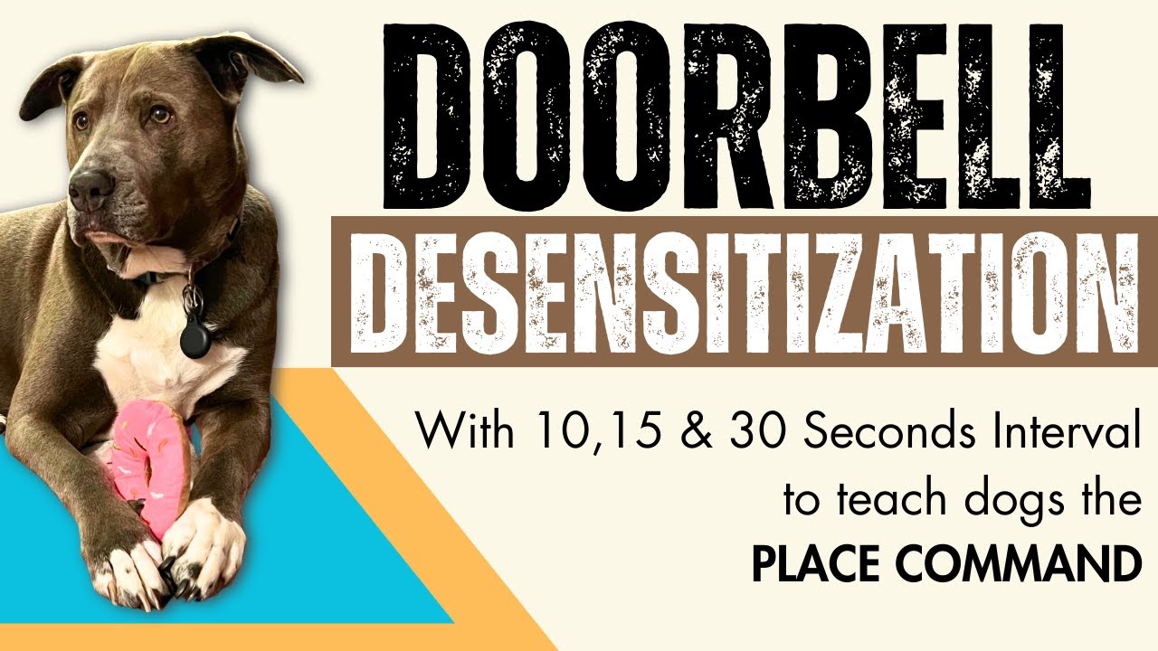 Doorbell with 10,15&30 Seconds Interval| Dog Training- Place Command ...