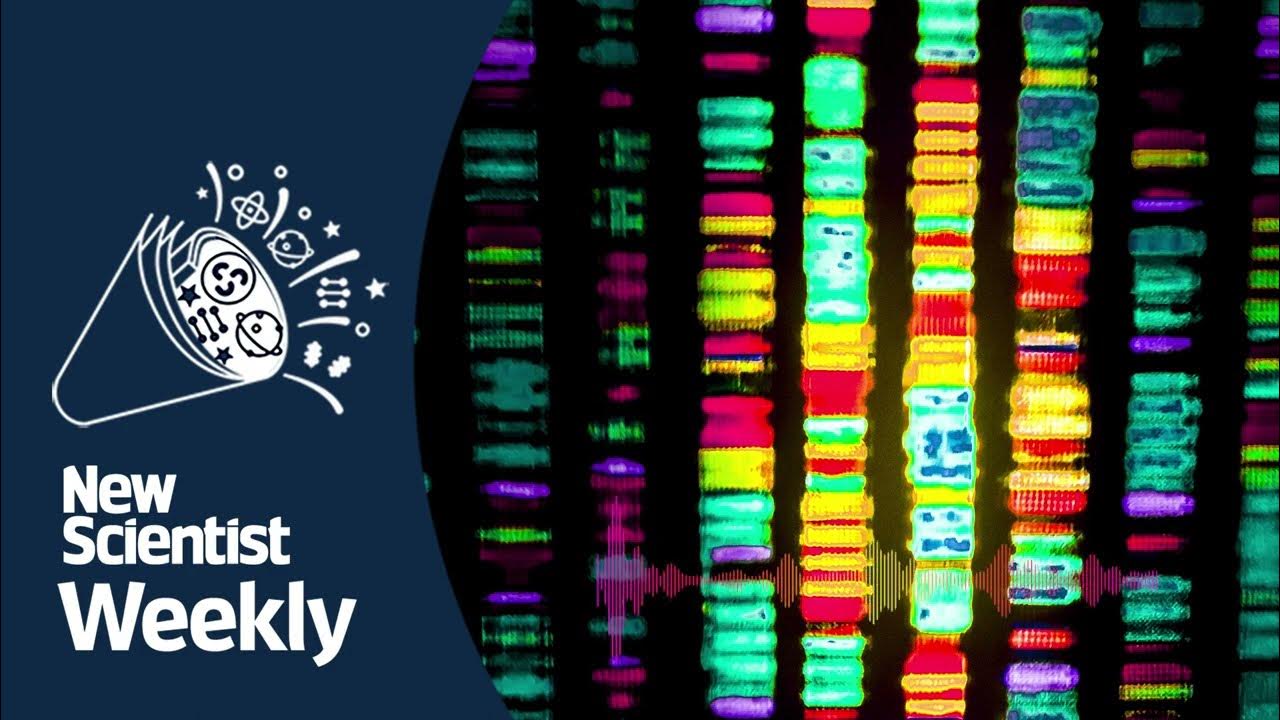 Saving babies’ lives by sequencing their genomes | New Scientist Weekly ... Saving babies’ lives by sequencing their genomes | New Scientist Weekly ...