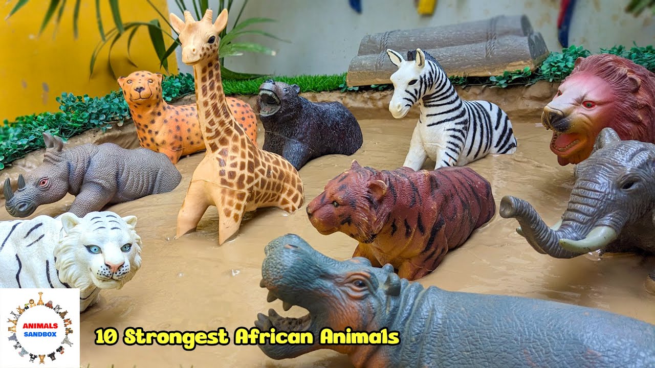 10 Strongest African Animals Muddy Adventure | Fun Learning with Ryan ...