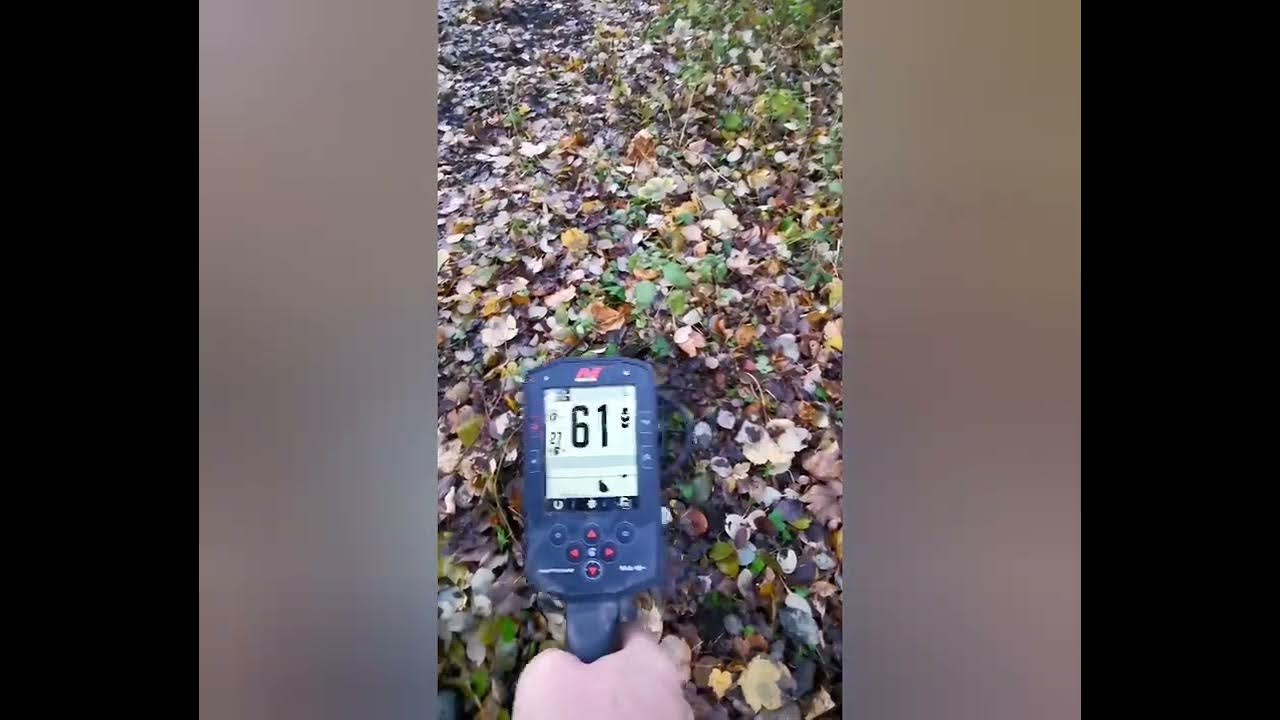 #minelab #manticore signals and best use of 2D screen Ids. - YouTube