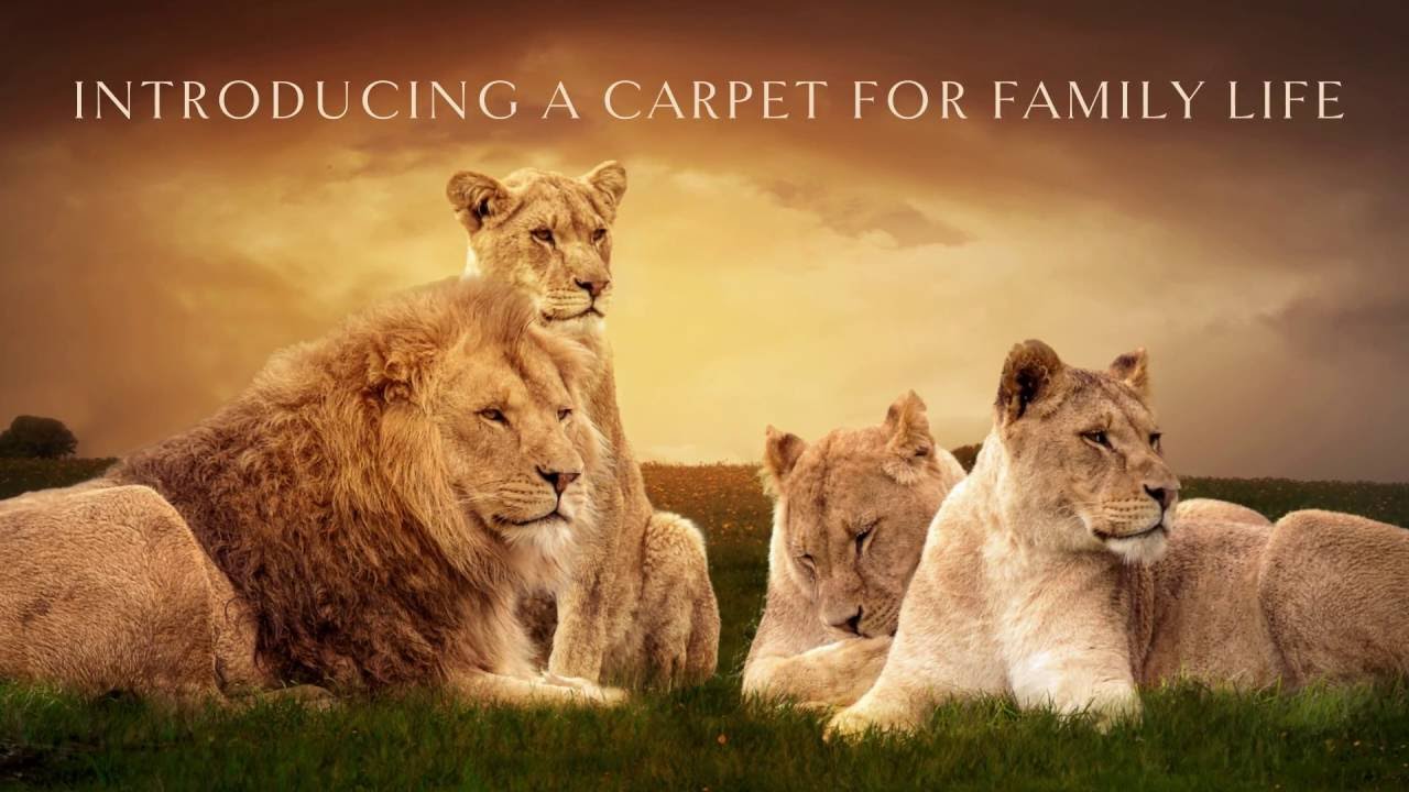Leonis carpet by Balta - YouTube