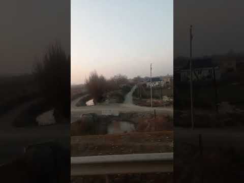 🌳 Salyan 🌳 #ərkinazsalmanzadə #salyan #azərbaycan #shrots #shortvideo #shortsvideo