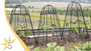 Sunnydaze Mesh Cloche Plant Protector with Removable Cover - 6-Pack - HB-0526