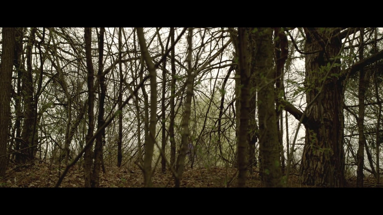 Ordinary Days Teaser Trailer - YouTube