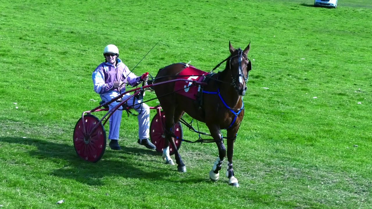 Kington Harness Races 2022 Six Furlong Dash - YouTube