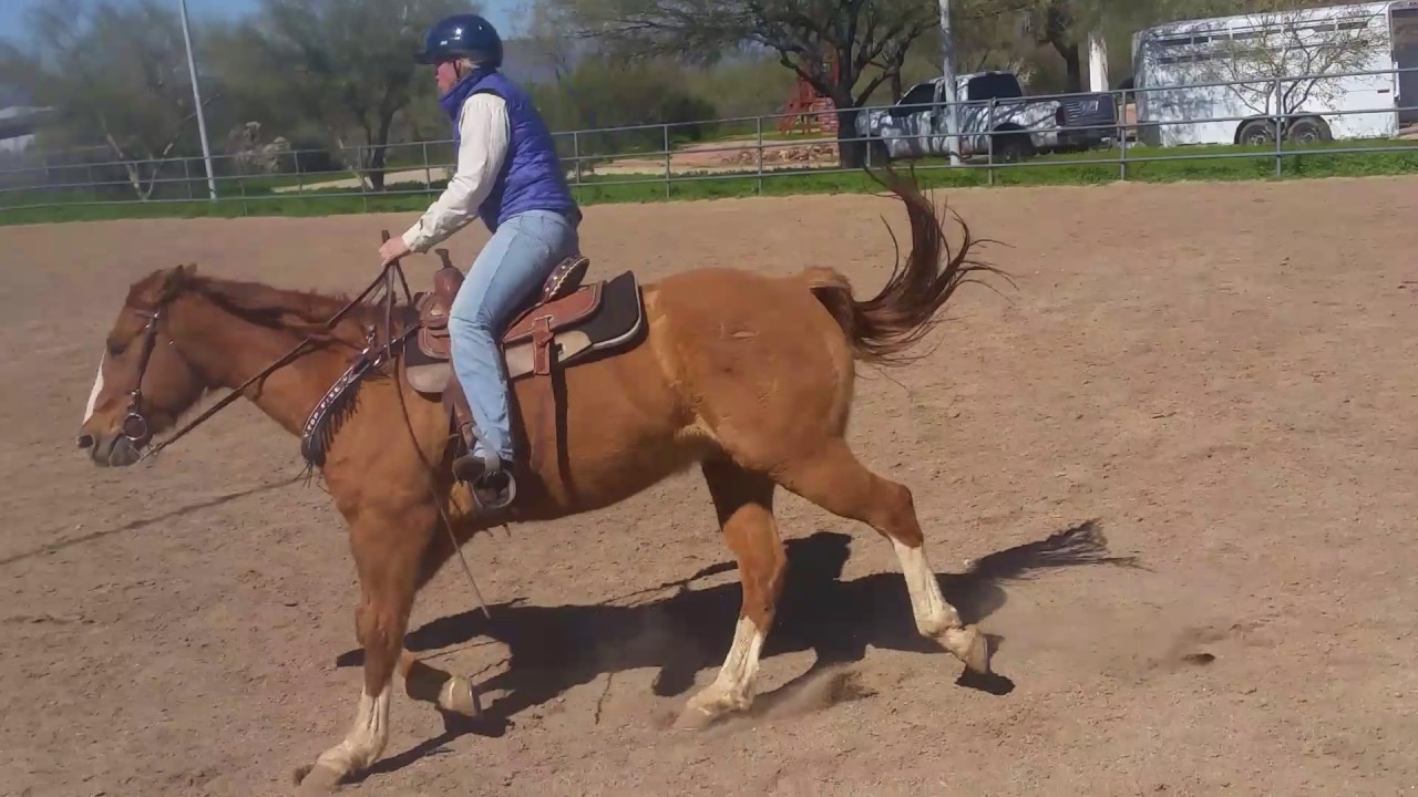 Roper 2/25/17 - YouTube