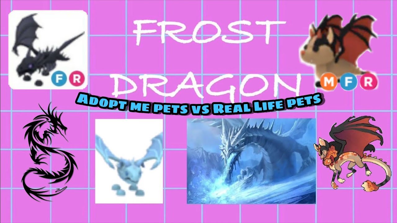 ADOPT ME PETS IN REAL LIFE🦄😱 || ADOPT ME PETS VS REAL LIFE PETS?||Avi's ...