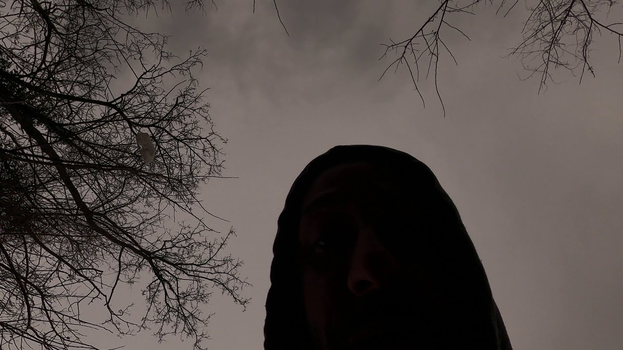 Filmaking - 649 - The MKSEARCH Witch Project & Dr. Green Files (1 ...