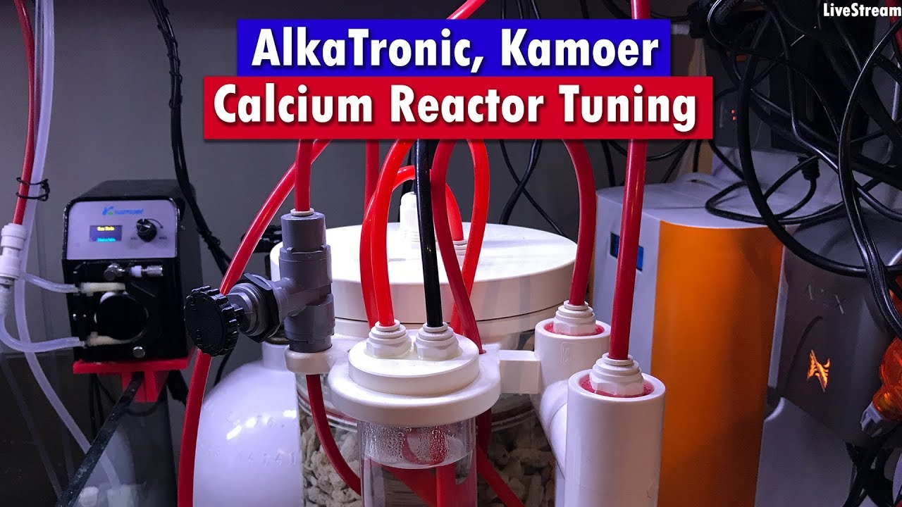 Calcium reactor Tuning - Alkatronic, Kamoer FX-STP Vertex Calcium ...