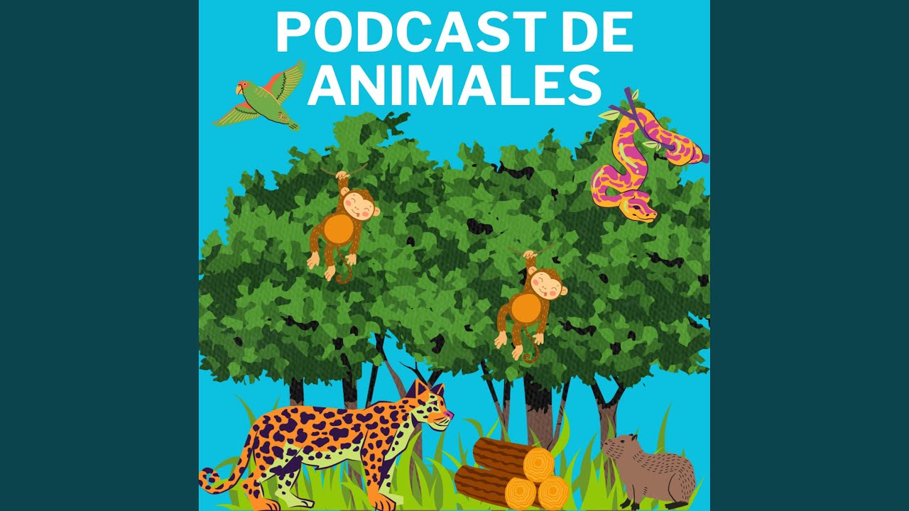 El perro volador y el pájaro amigo. - YouTube